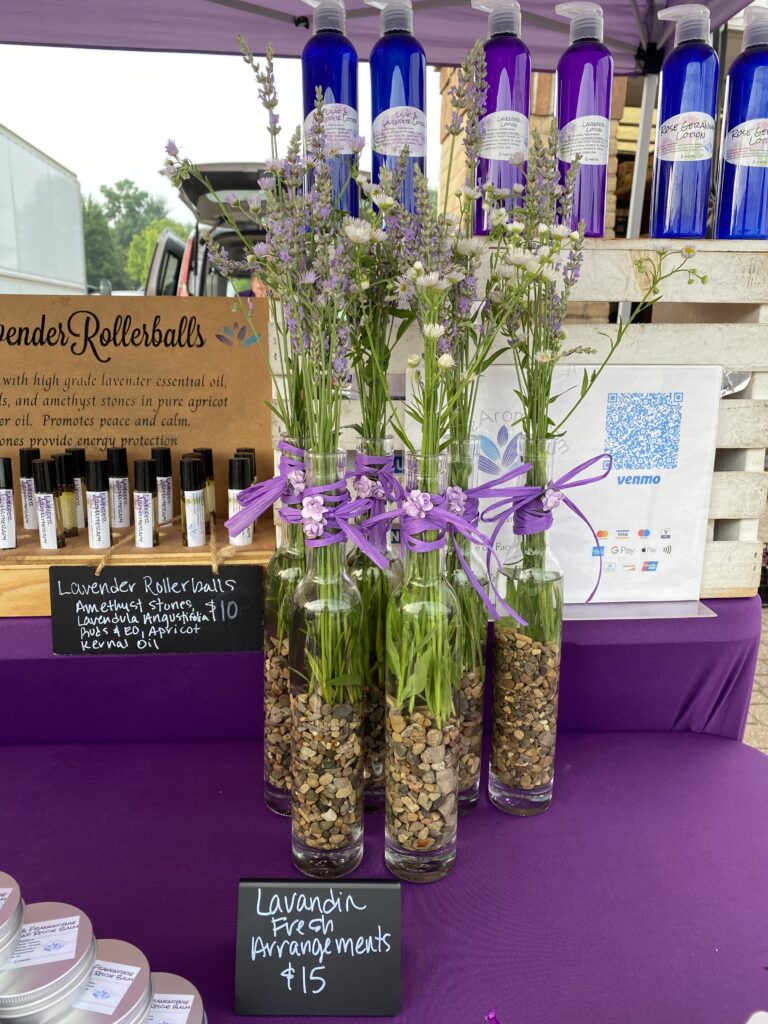 14 Varieties of Lavender & Lavandin Grown on Our Farm (2024) - Twin Flame Lavender Farm Michigan